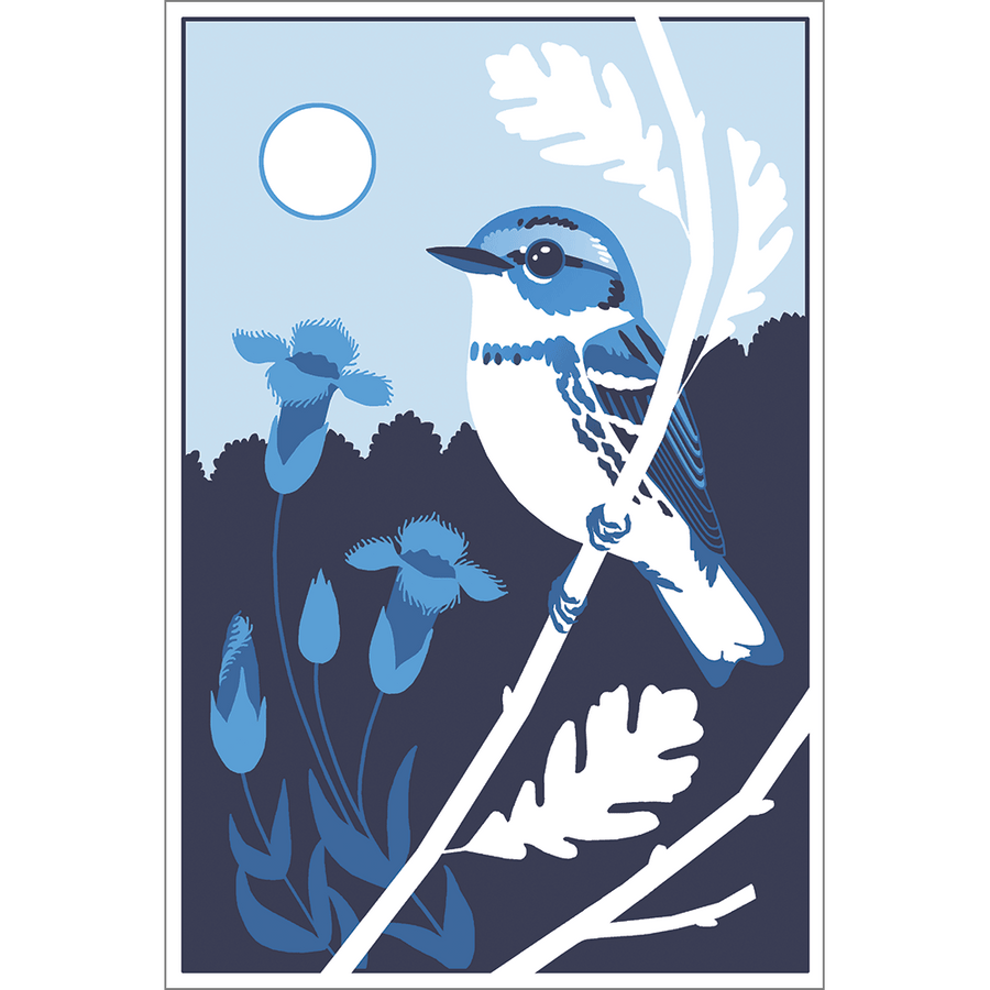 Beautiful Birds Poster Four-Pack – TopatoCo