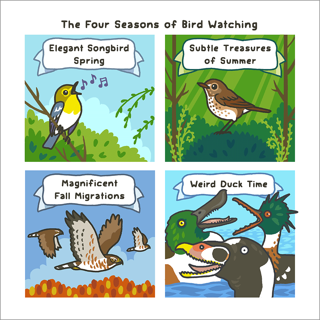 Bird and Moon Comic Prints – TopatoCo