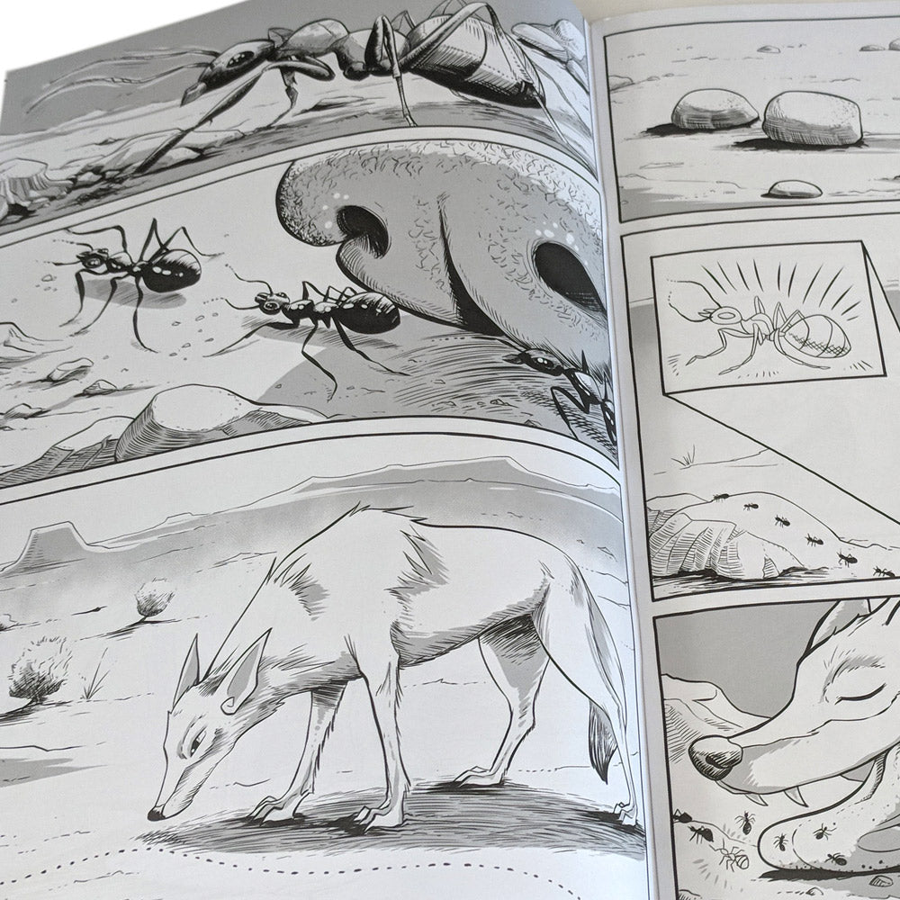 Coyote! A Story from Beyond the Walls – TopatoCo