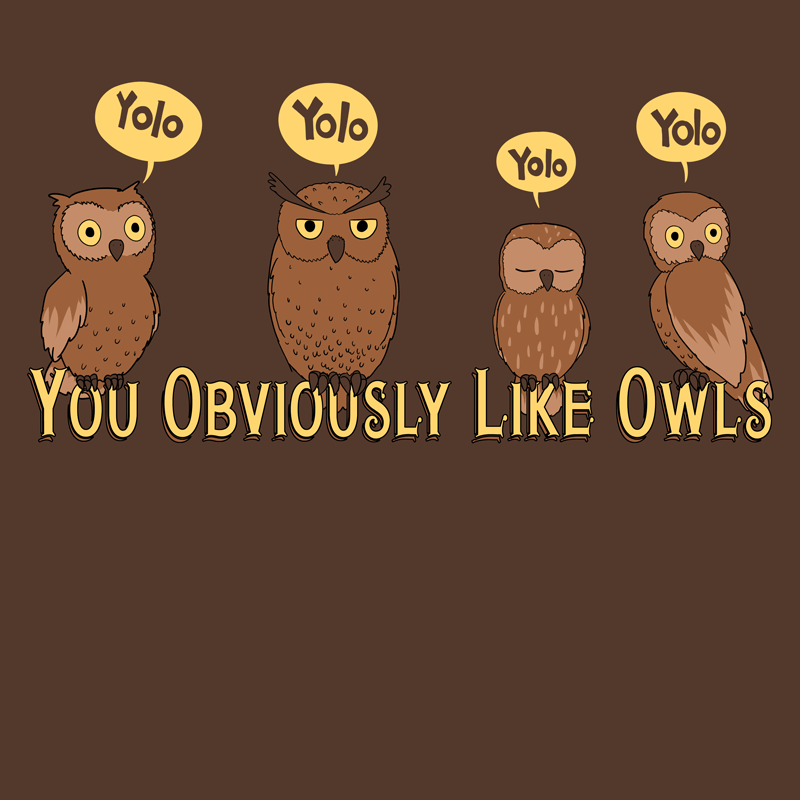 You Obviously Like Owls Shirt – TopatoCo