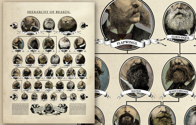 Hierarchy of Beards Poster – TopatoCo